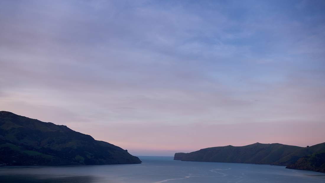 Our King Salmon | Fresh NZ Salmon | Akaroa Salmon